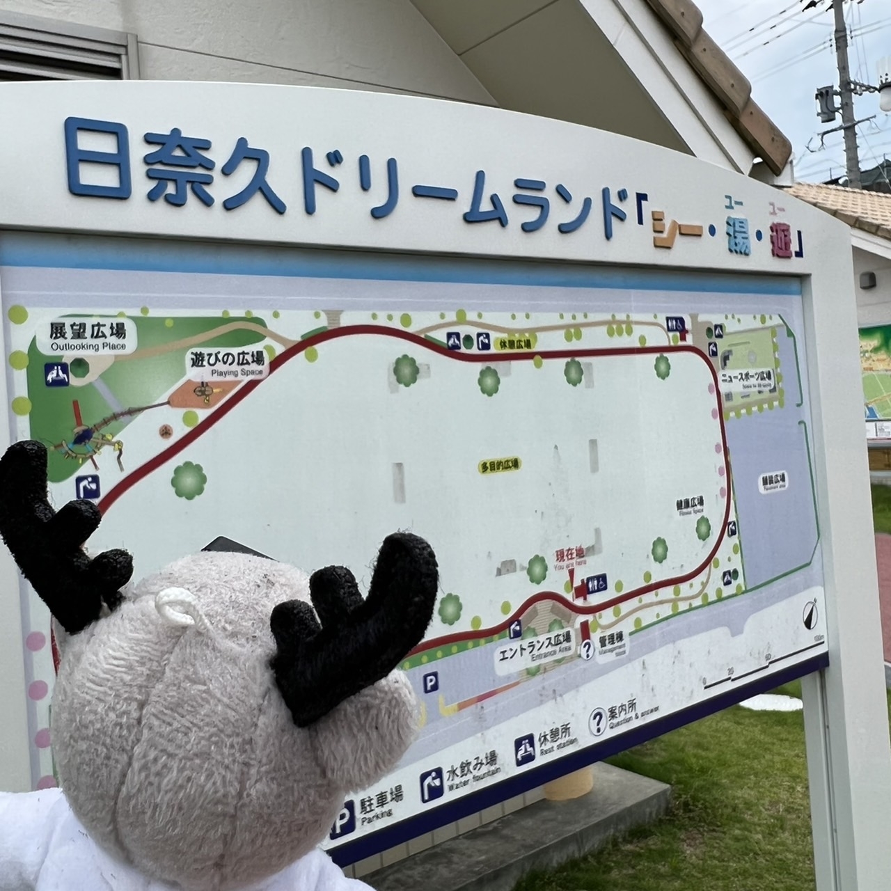 KFA 第28回女子（U-15）サッカー大会INくまもと 開催｜Light you up アクション｜ダイハツ工業株式会社